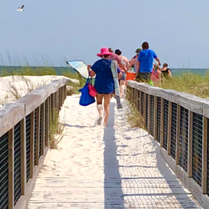 Home - Shell Island Cruises
